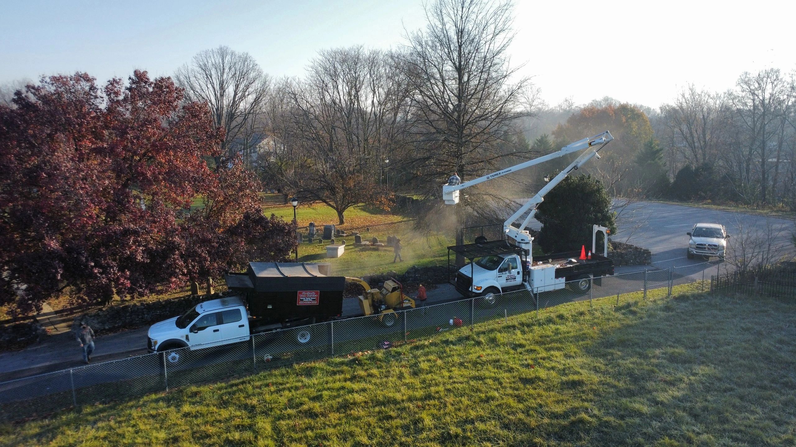 sheltons tree service